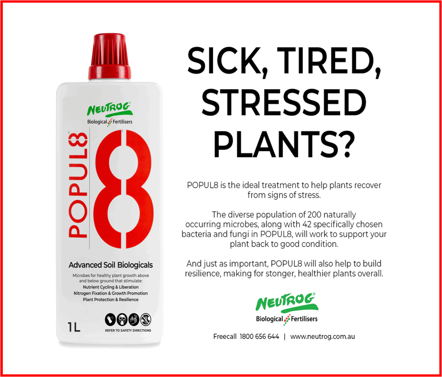 February 2025 Newsletter – COCWA